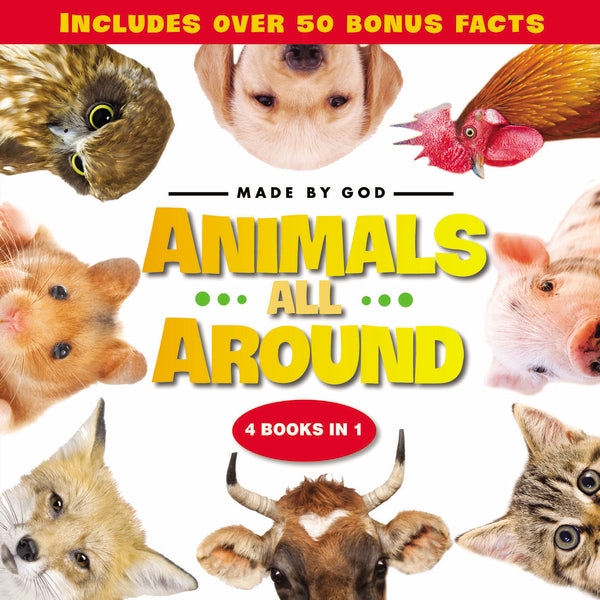 Animals All Around – ChurchSource