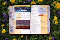 NIV, Kids' Visual Study Bible, Full Color Interior: Explore the Story ...