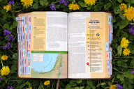 NIV, Kids' Visual Study Bible, Full Color Interior: Explore the Story ...