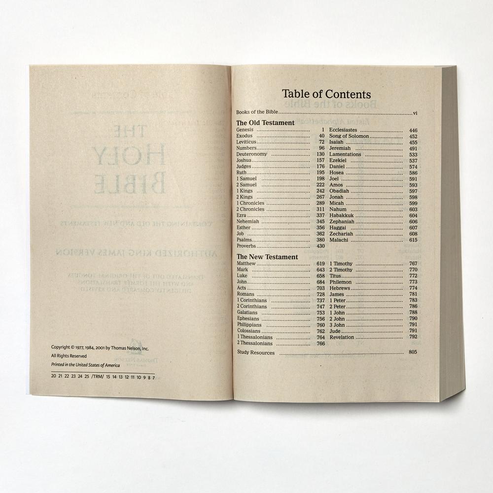 KJV, Value Outreach Bible, Paperback, Case of 28 Bundle (Blue Scenic ...