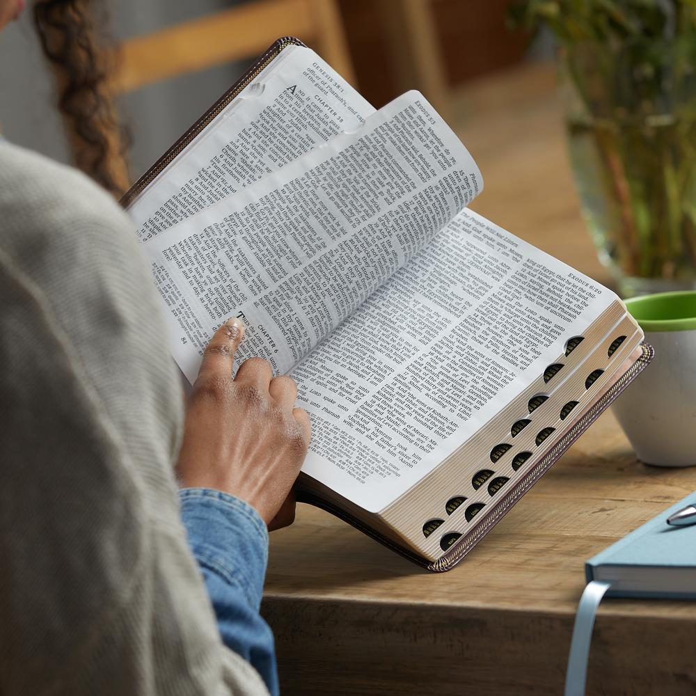 KJV, Deluxe Reference Bible, Personal Size Giant Print, Red Letter Edi ...