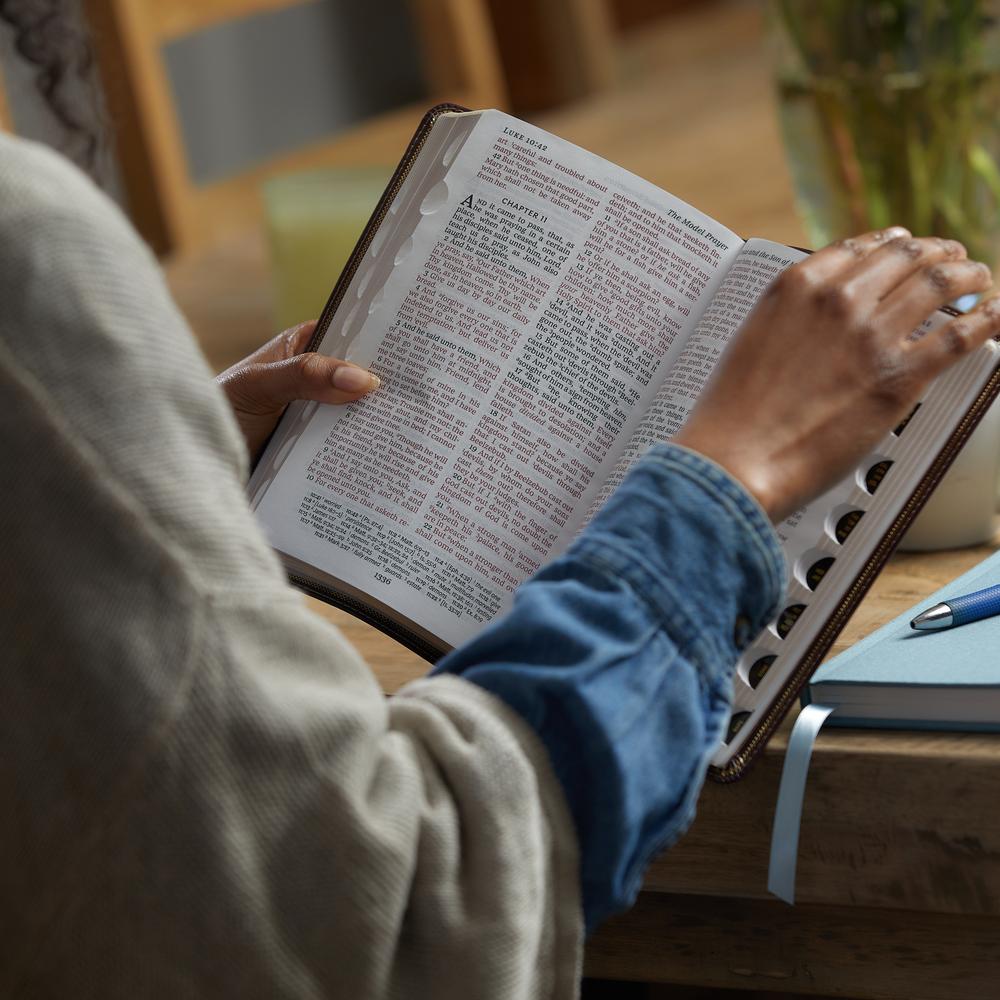 KJV, Deluxe Reference Bible, Personal Size Giant Print, Red Letter Edi ...