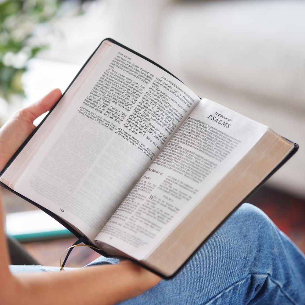 KJV, Reference Bible, Personal Size Giant Print, Red Letter Edition, C ...