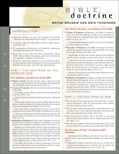 Bible Doctrine Laminated Sheet – ChurchSource